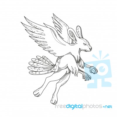 Skvader Flying Doodle Stock Image - Royalty Free Image ID 100595487
