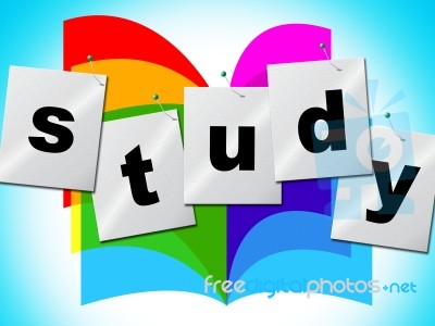 Study Studying Means College Training And Development Stock Image ...