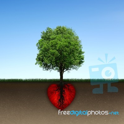 Tree And Root Of Red Heart Stock Photo - Royalty Free Image ID 100107678