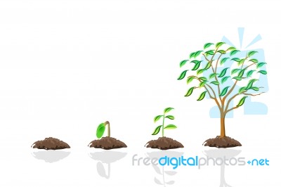 Tree Growth Stock Image - Royalty Free Image ID 100177424