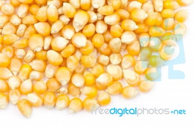 Uncooked Popcorn Stock Photo - Royalty Free Image ID 10051252