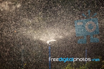 Water Sprinkler Background Stock Photo - Royalty Free Image ID 100400454