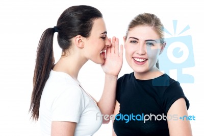 What Is Our Next Plan ? Stock Photo - Royalty Free Image ID 100360383