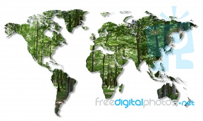 World Map With Tree Stock Image - Royalty Free Image ID 100100252