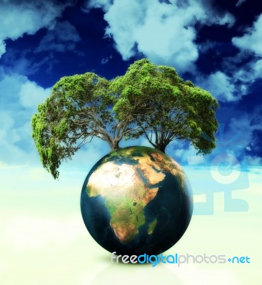 World Tree Stock Image - Royalty Free Image ID 10015119