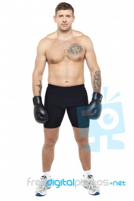Young Muscular Boxer Standing Stock Photo - Royalty Free Image ID 100103758