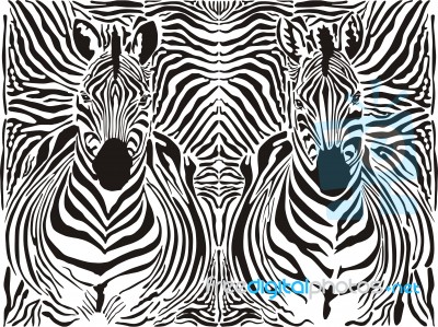 Zebra Pattern Background Stock Image - Royalty Free Image ID 10075363